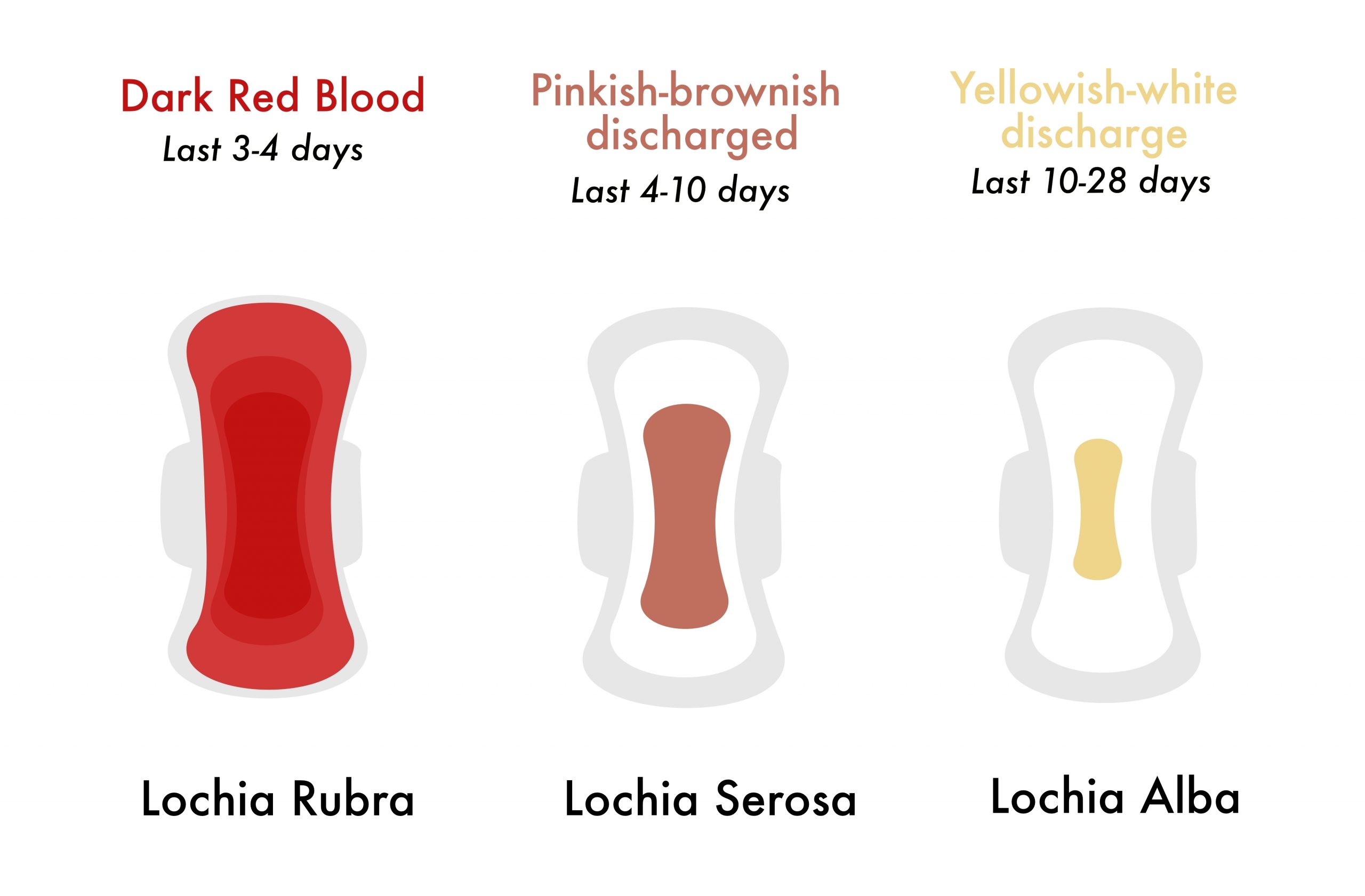 น้ำคาวปลา คืออะไร มีกลิ่นเหม็น ปกติไหม กี่วันถึงหมด