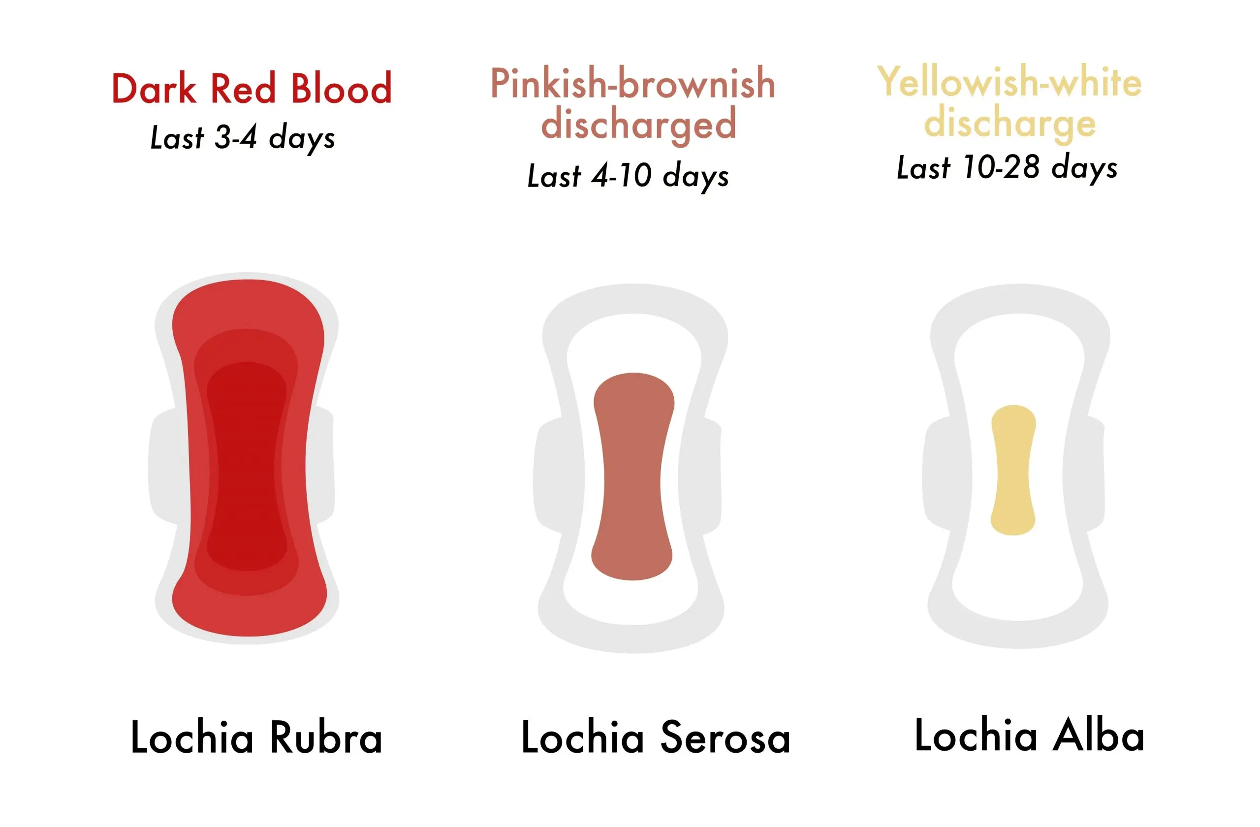 น้ำคาวปลา คืออะไร มีกลิ่นเหม็น ปกติไหม กี่วันถึงหมด