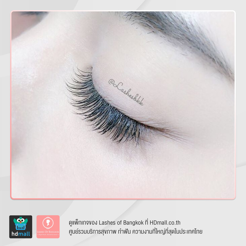 รีวิว ต่อขนตา ที่ Lashes of Bangkok - HDmall Blog